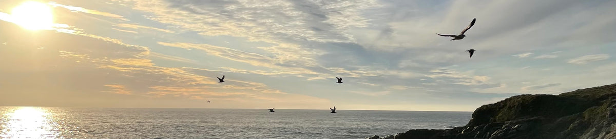 Soaring High – Lucy Symons Jewellery